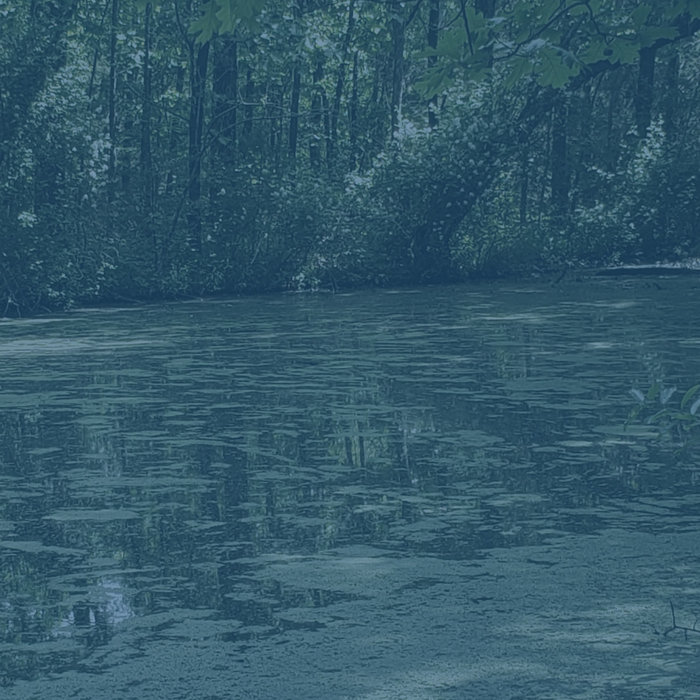 A Corpse Never Found | Abyssal River