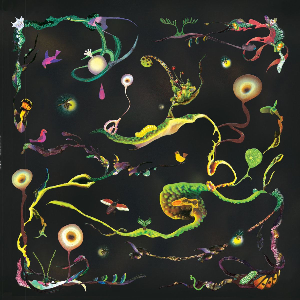 Chênes | Roxane Métayer | KRAAK