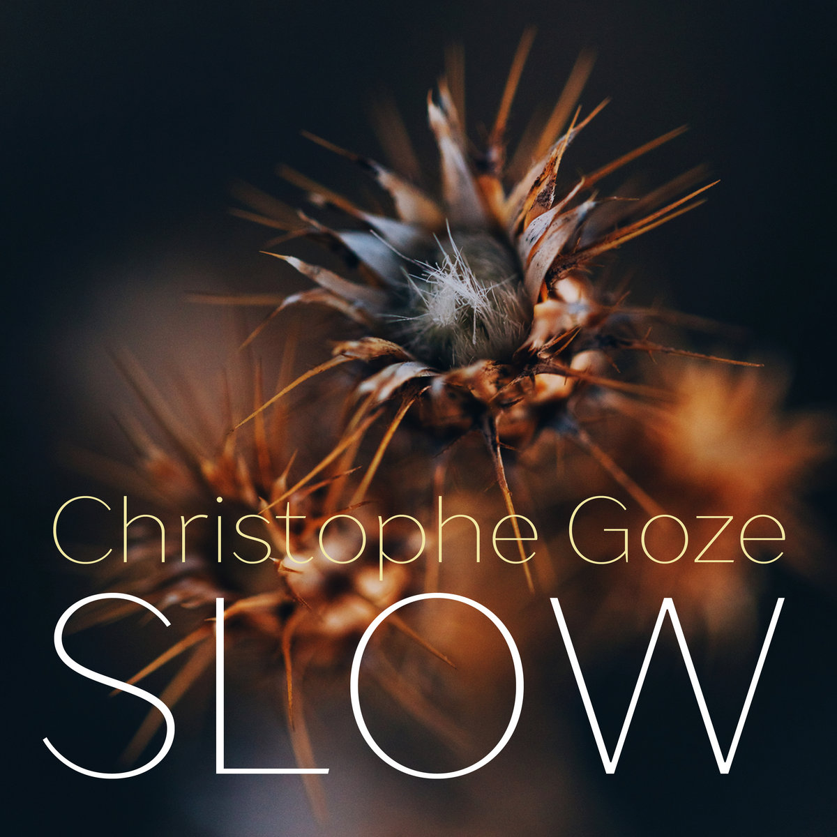 Slow | Christophe Goze