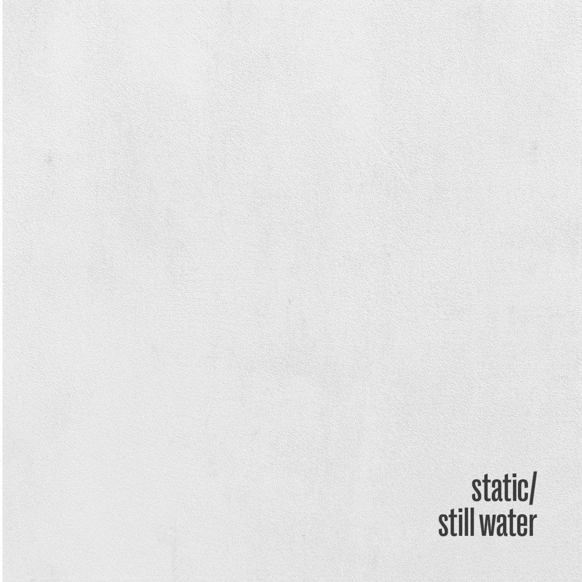 static / still water (2008) | the Kochergin