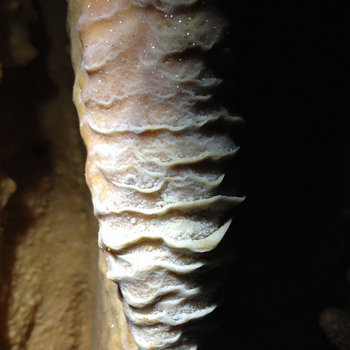 Music | Anna Jurkiewicz