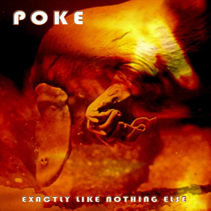 Exactly Like Nothing Else | Poke