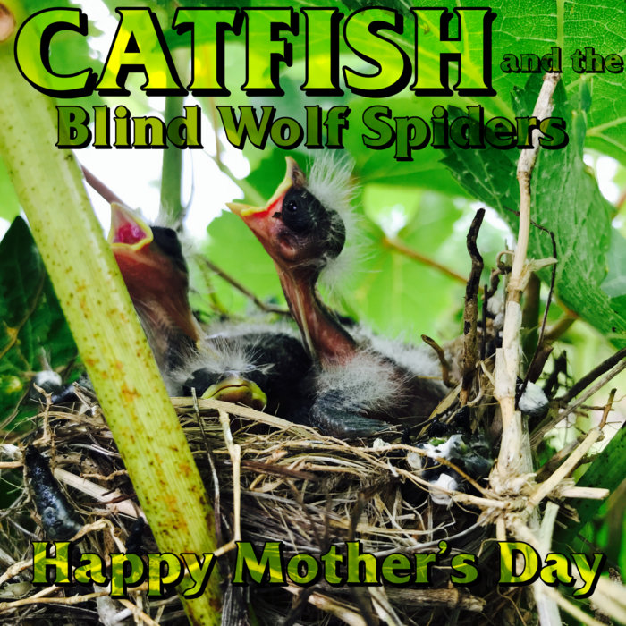 Happy Mother's Day | Catfish and the Blind Wolf Spiders