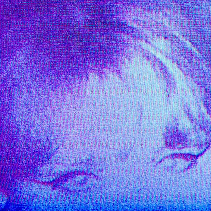 REVIZION | THE FAZES