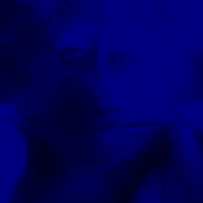 Live demos | Monkey Flesh