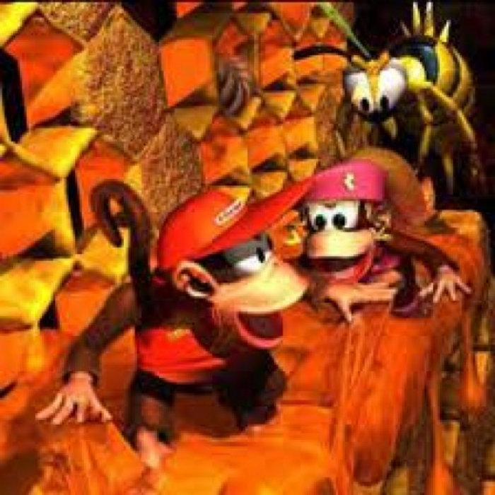 Donkey Kong Country 2 | globetrotter