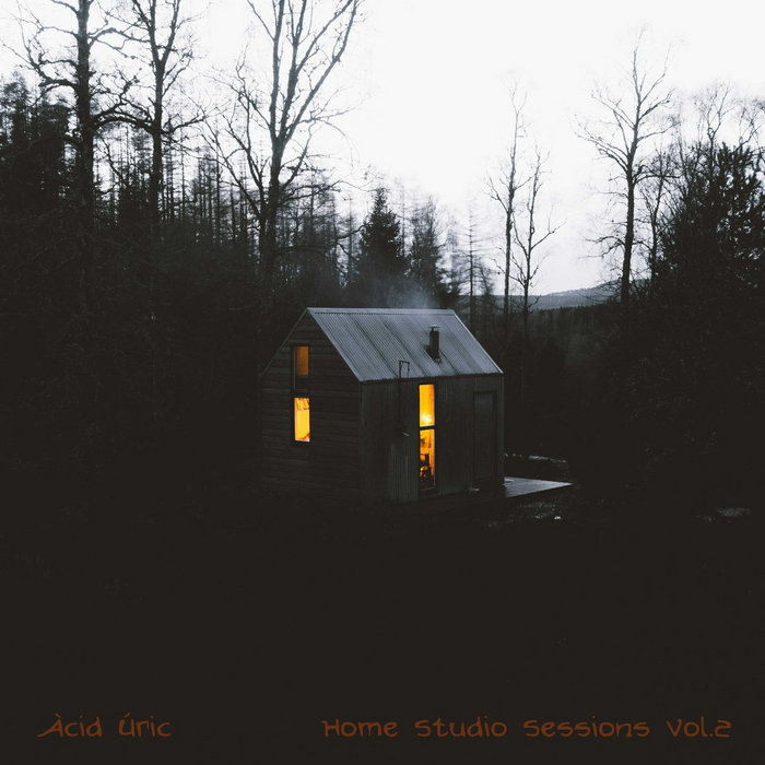 Home Studio Sessions Vol.2 | Àcid Úric