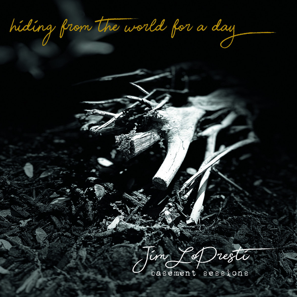 Hiding from the World for a Day | Jim LoPresti