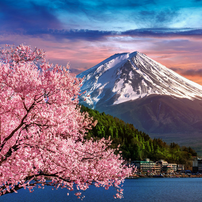 Updraft | ALAN HARTLEY