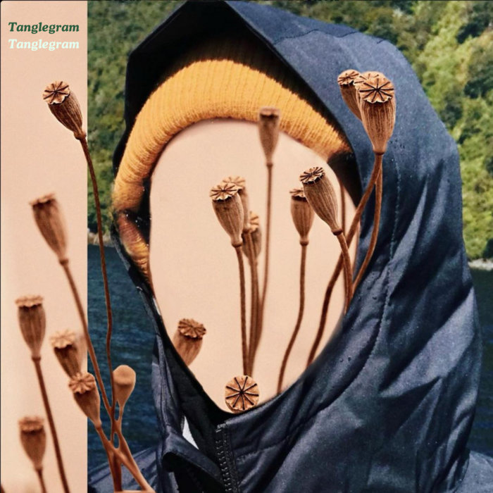 Tanglegram | Tanglegram