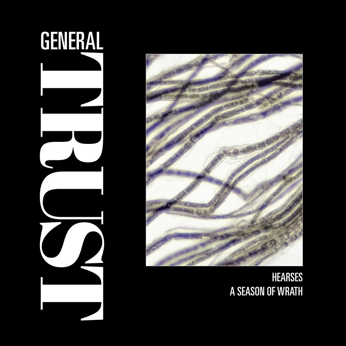 Hearses / A Season of Wrath | General Trust
