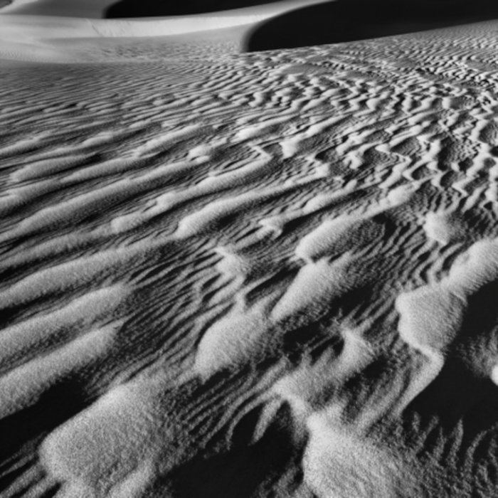 CREWLESS | Tempora Mutator