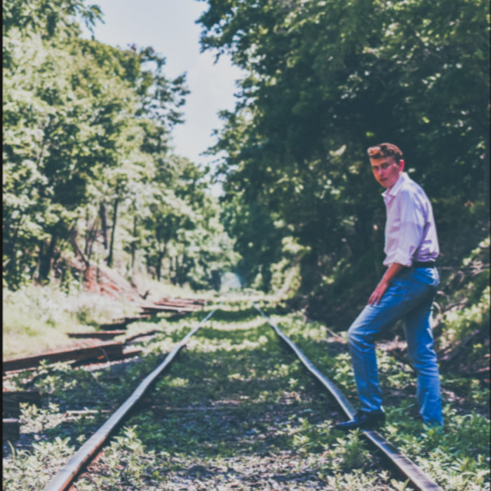 Shape and Color | Harrison Fox Jaffe