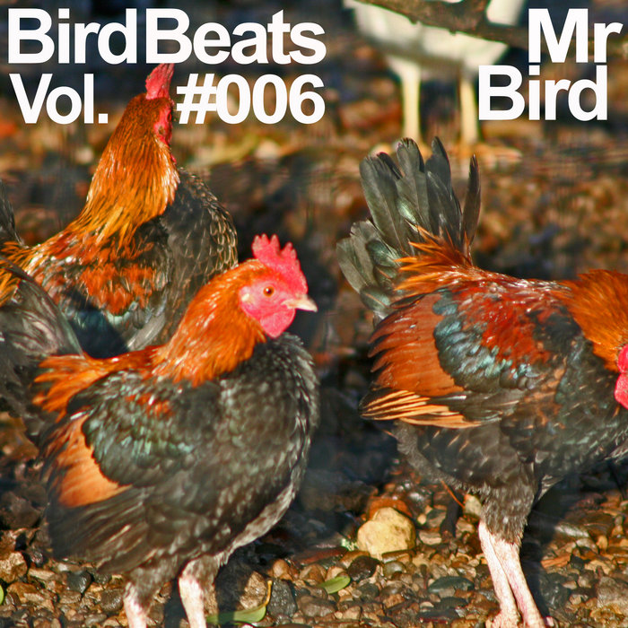Bird Beats Vol.#006 | Mr Bird