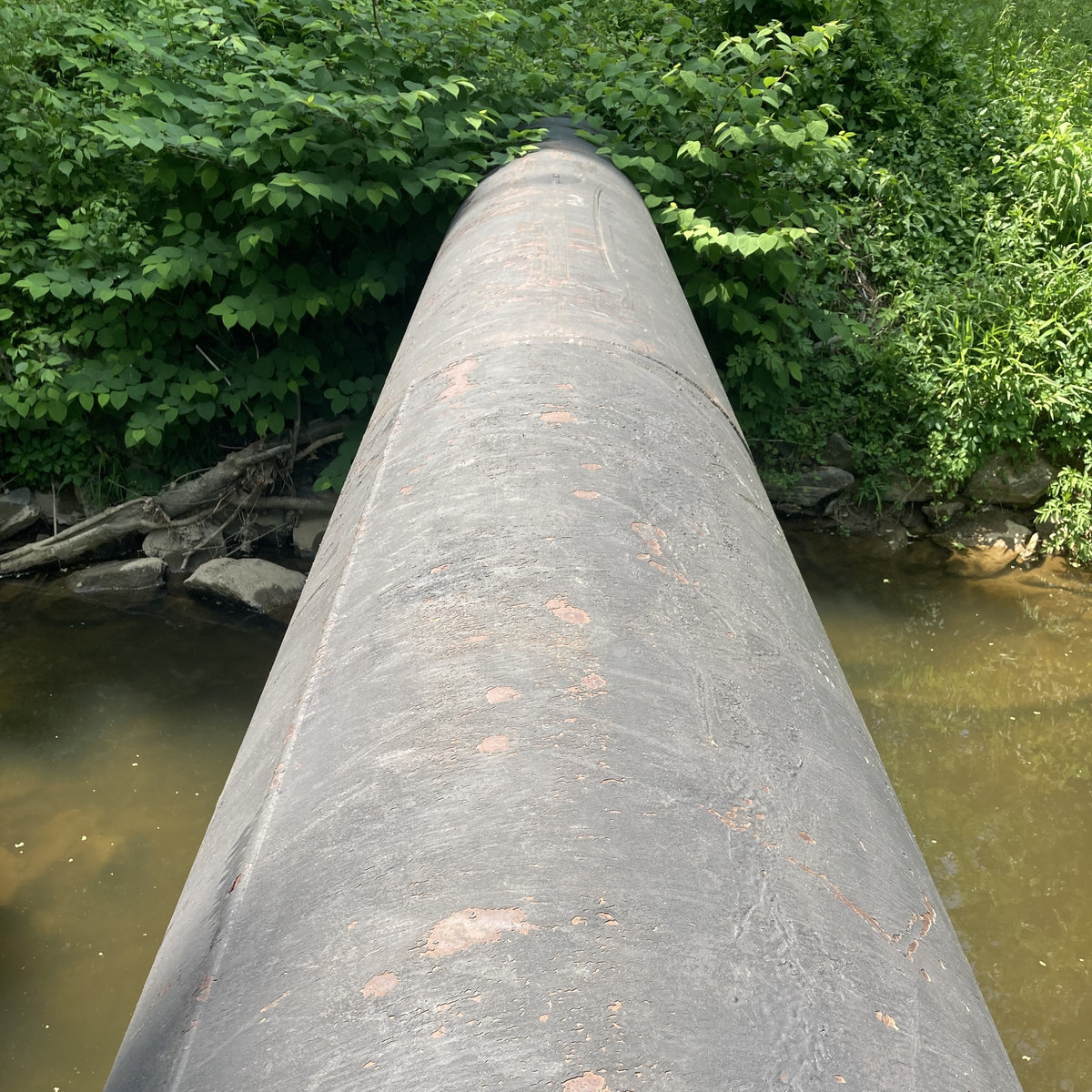 Room Voice | Andrew Weathers