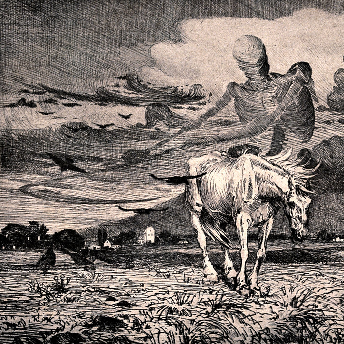 Ghost Horse | Cynocephalic Saints