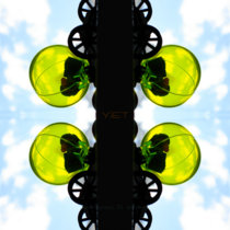 4-Processes | v4w.enko