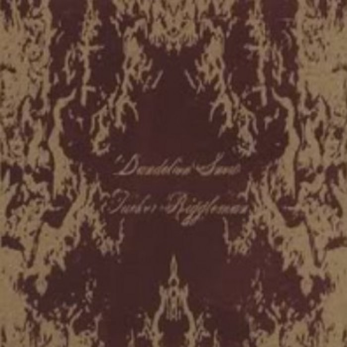 Dandelion Snow/Tucker Riggleman Split | BIG BULLET RECORDS