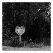 Tarantism | Magic Tuber Stringband