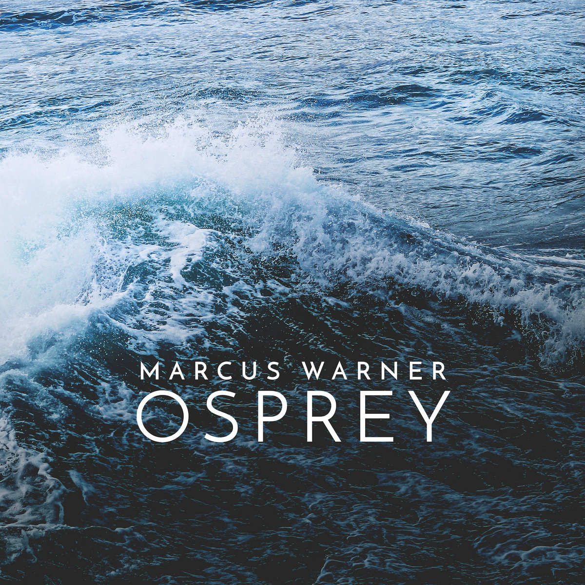 Osprey | Marcus Warner