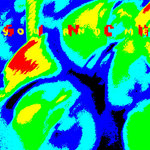 We Are Still Alive | Sinch