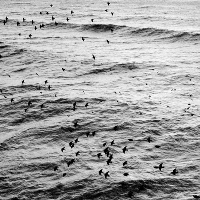 Continuous Play | Continuous Play | Armed Within Movement