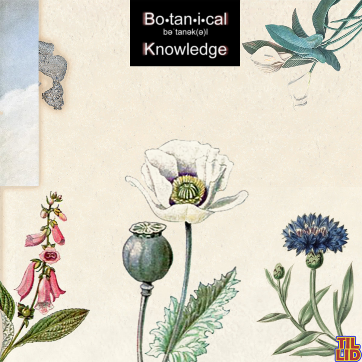botanical Knowledge | Tillid