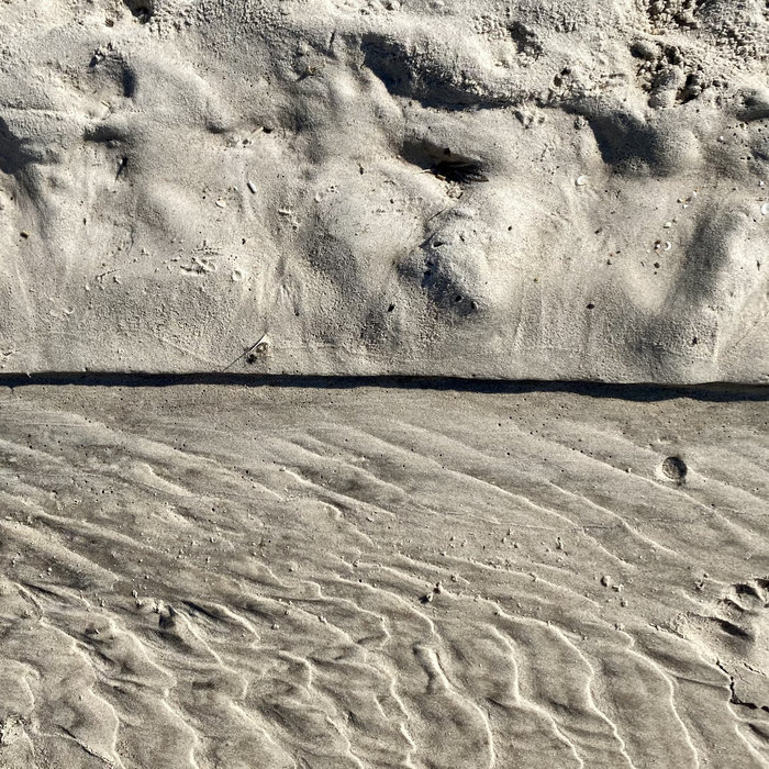 New England Interiors | Luke Martin & Morgan Evans-Weiler | Falt