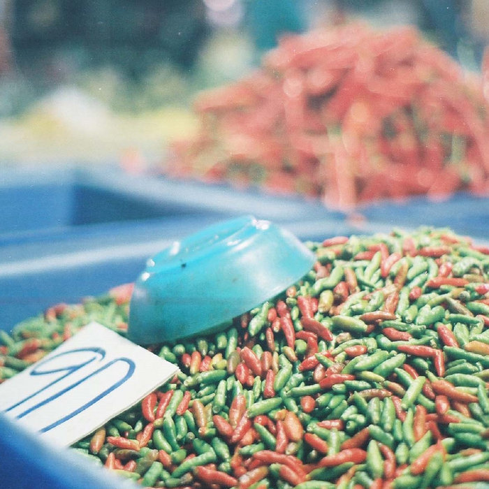 Dog bones | Ian Solheim