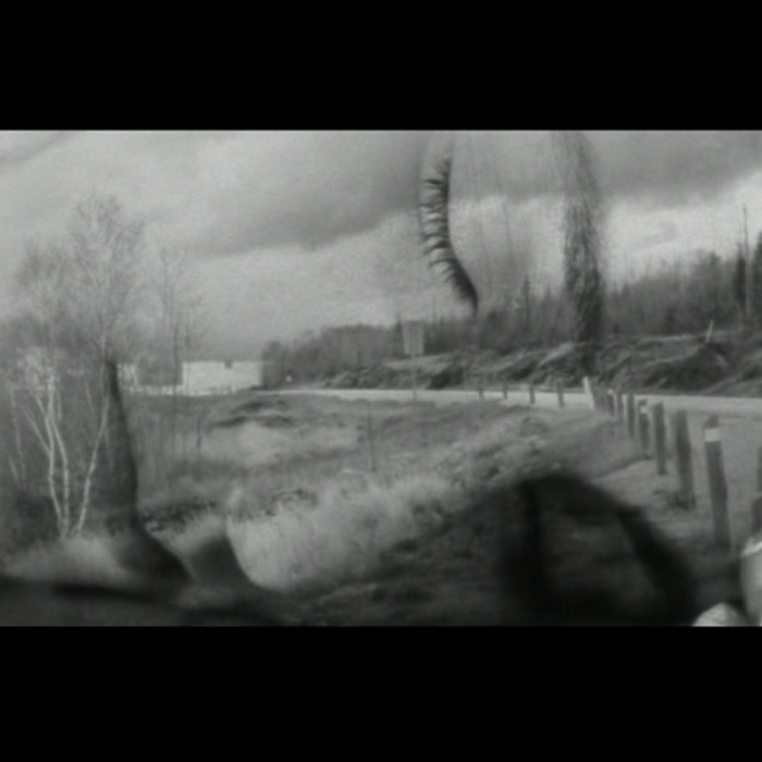 Falling Endlessly | Vince Rosy