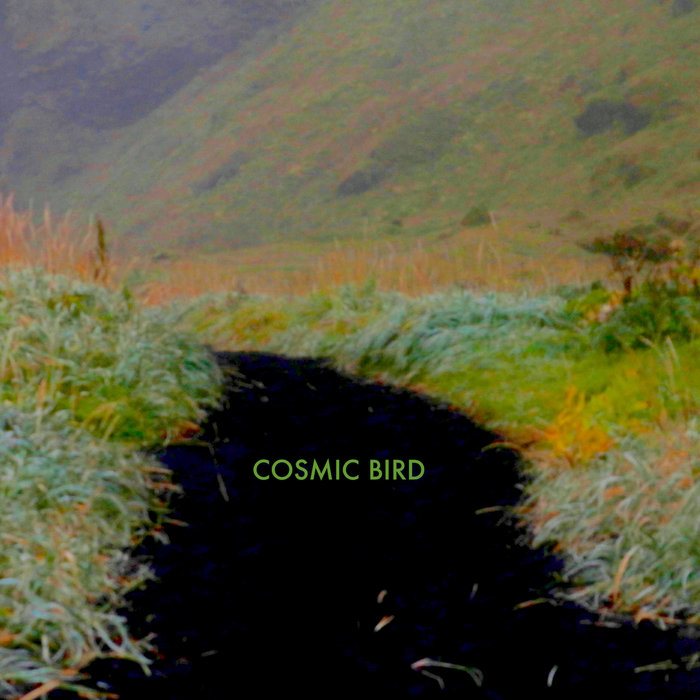 COSMIC BIRD EP | Cosmic Bird