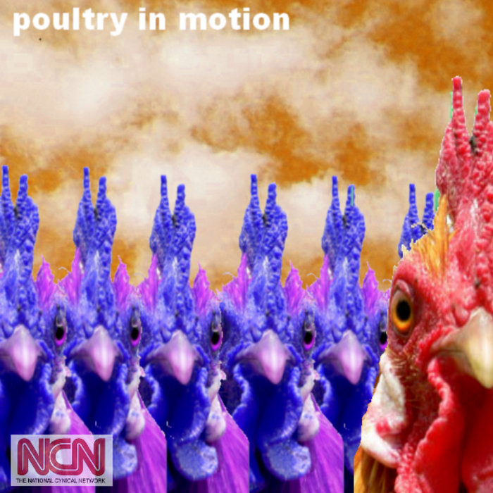 Poultry in Motion - The Great Big Chicken Show | NCN | Phineas Narco