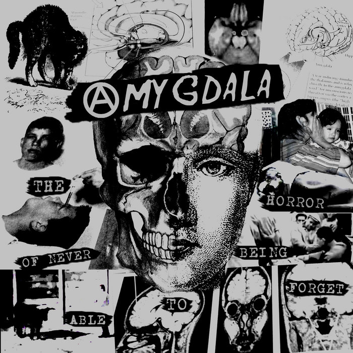 Amygdala - the horror of never being able to forget | react with protest