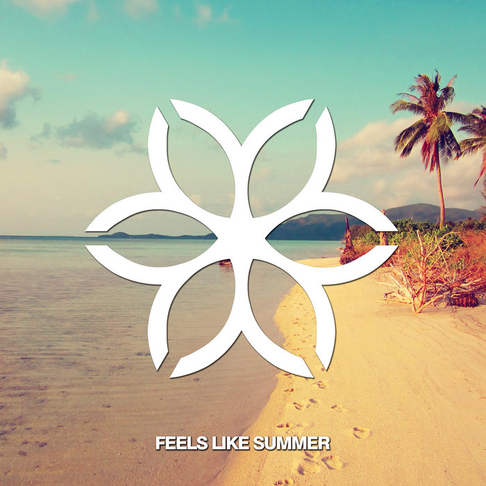 Feels Like Summer | Unknown Artist | Fokuz Recordings