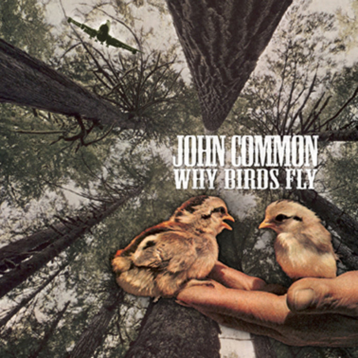 Why Birds Fly | JOHN COMMON