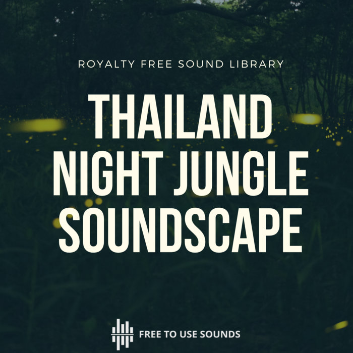 Rainforest Sound Effects Library At Night Thailand | freetousesounds