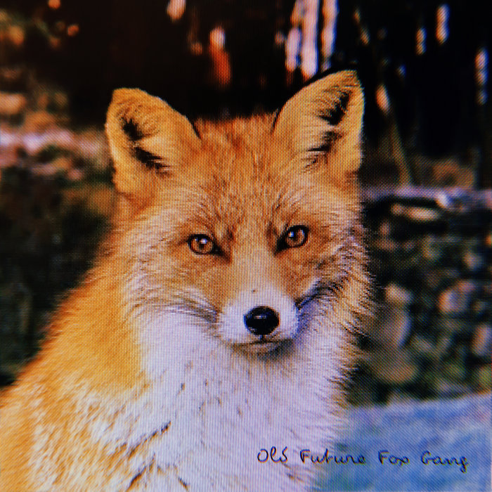 Love Them All | Old Future Fox Gang | Myor