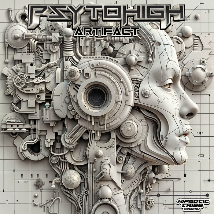 Artifact | PsyToHigh | Hipnotic Tribe Records
