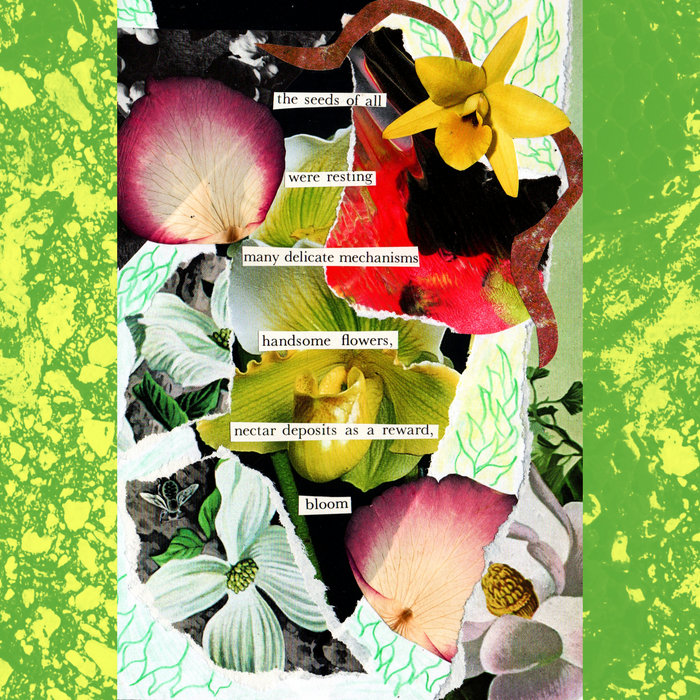 Bloom | Walter Wright // Pain Chain | Mutual Aid