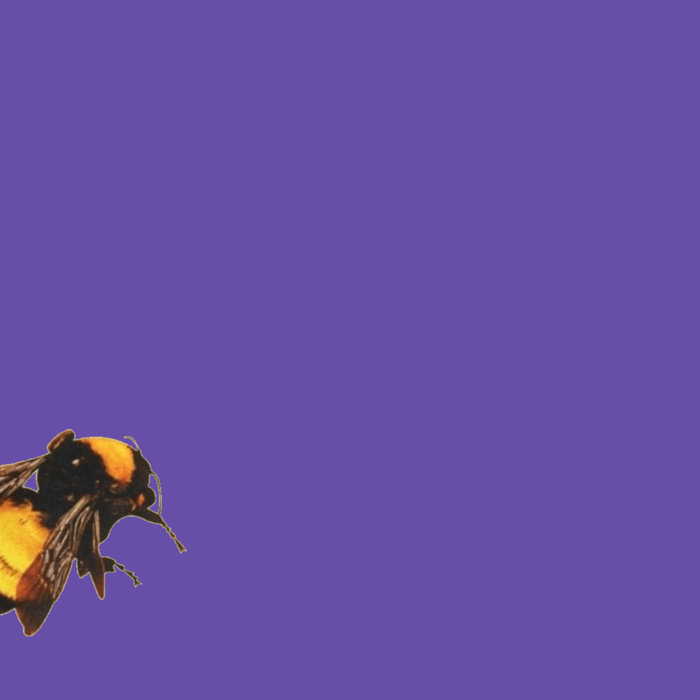 Violet Boy | bvtheepic