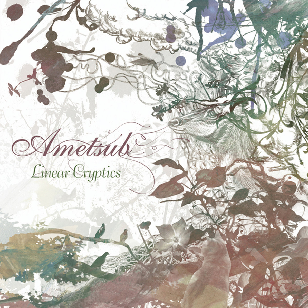 Ametsub "Linear Cryptics" PFCD13 | Ametsub | PROGRESSIVE FOrM