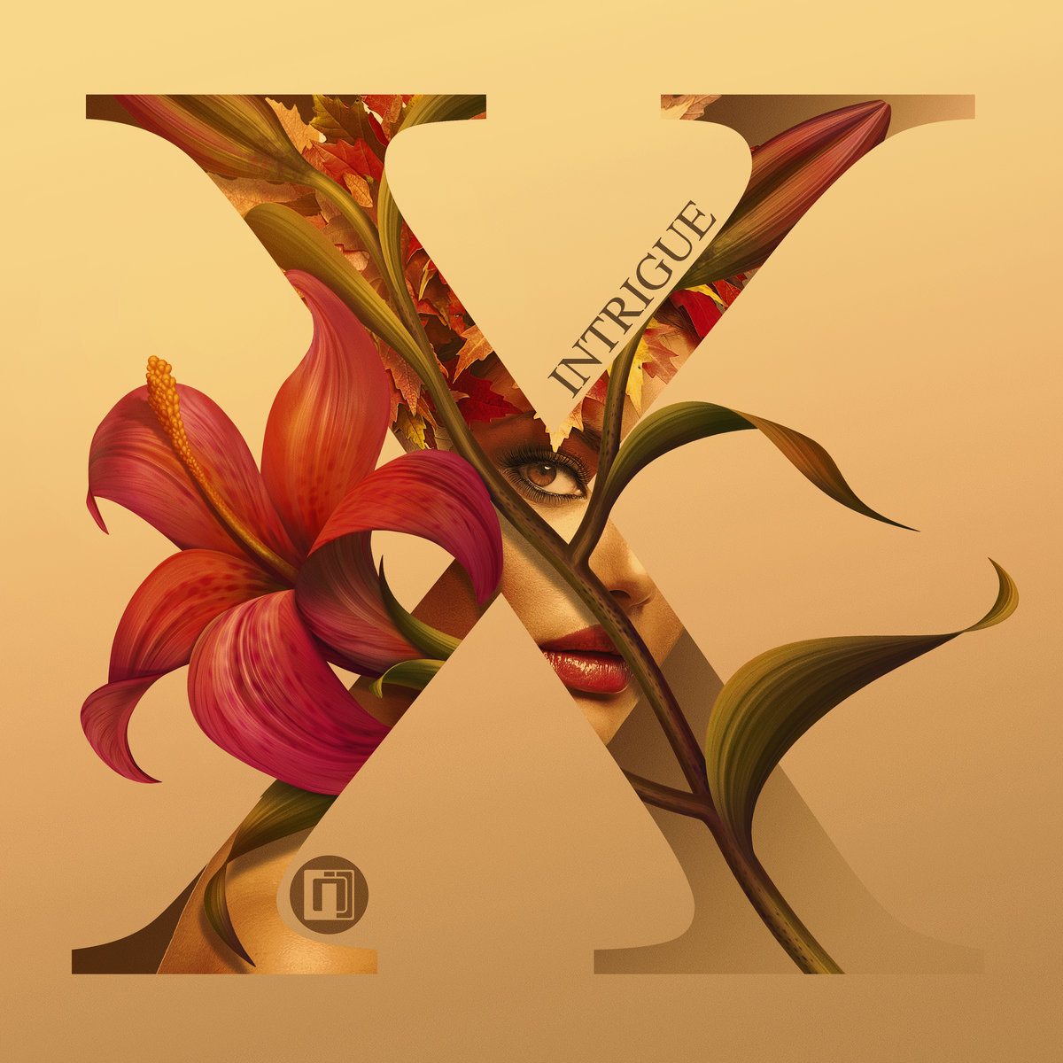 Intrigue X: A Decade of Intrigue Music | Various Artists | Intrigue Music