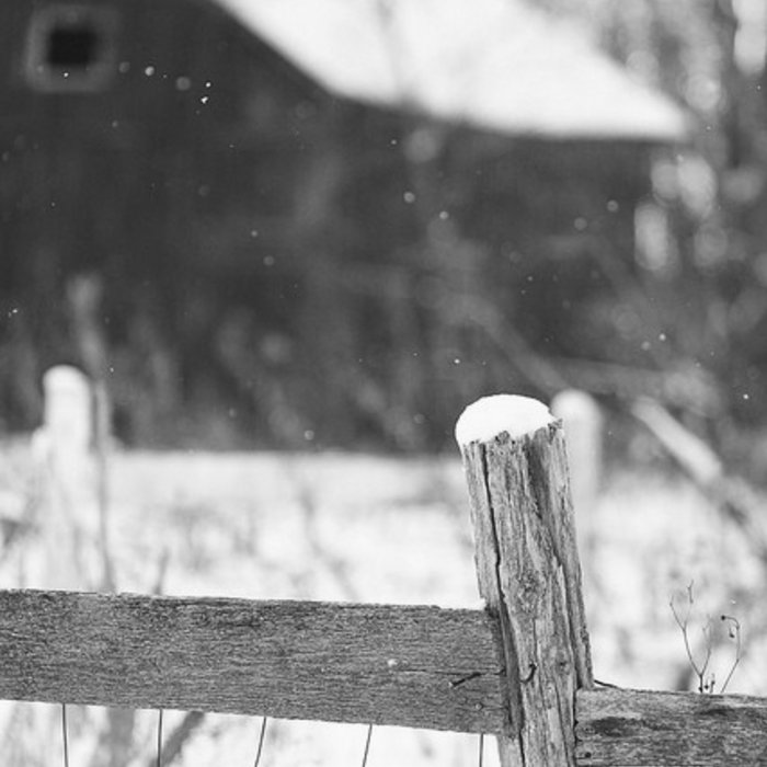It's cold | June in the fields