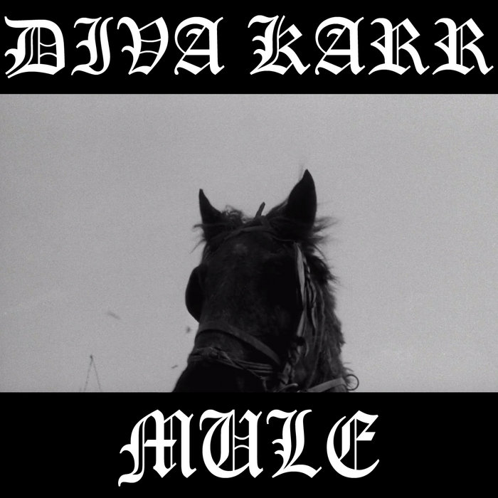 Mule | Diva Karr