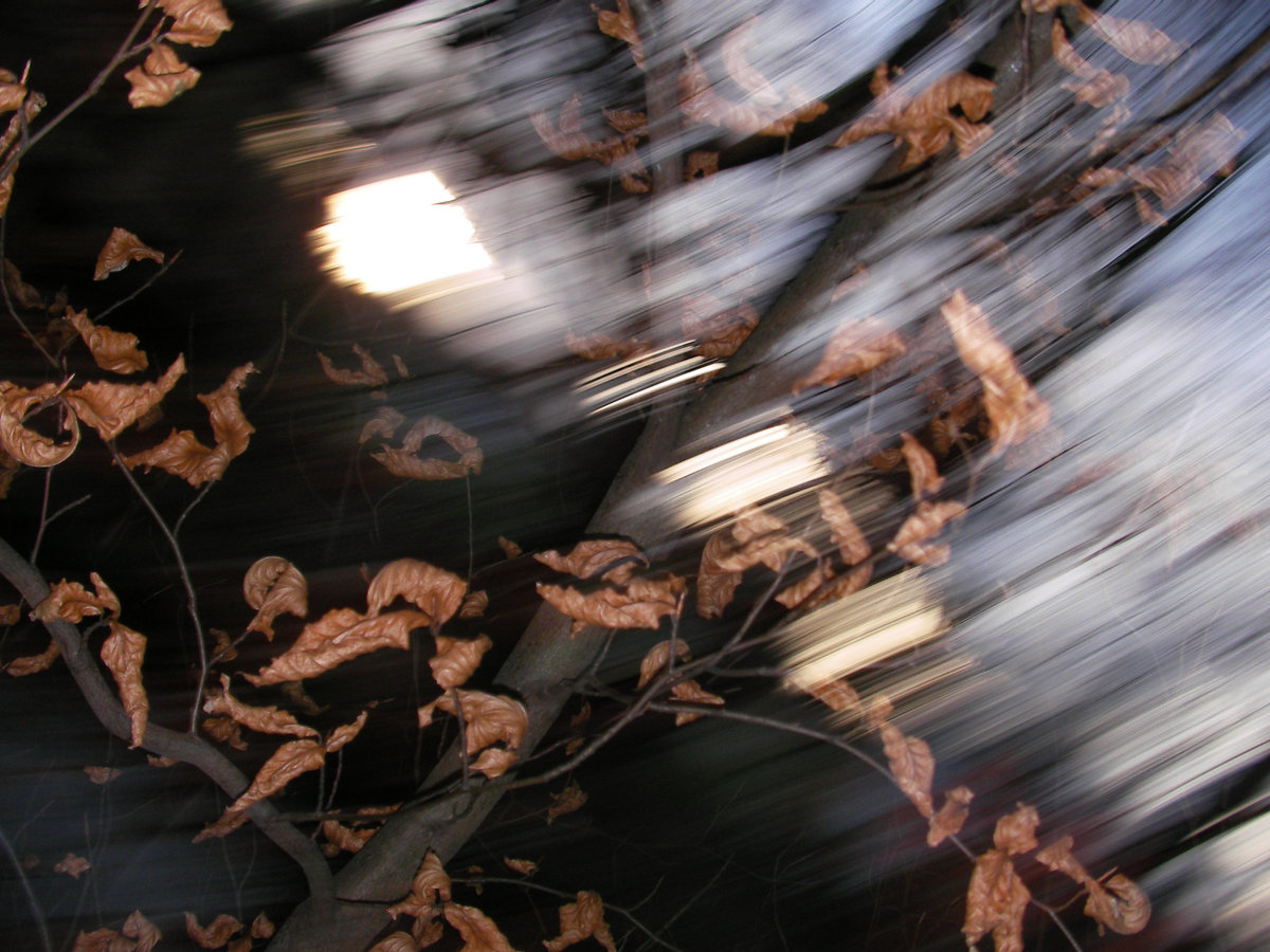 Gaiascape | Jamie Sturrock | Inscythen