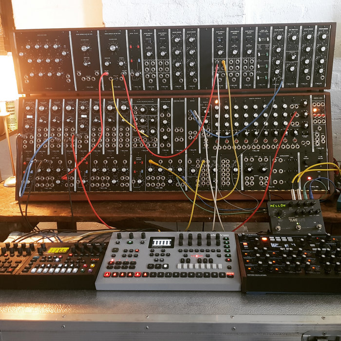 Live with Moog System 55 | Ehsan Gelsi