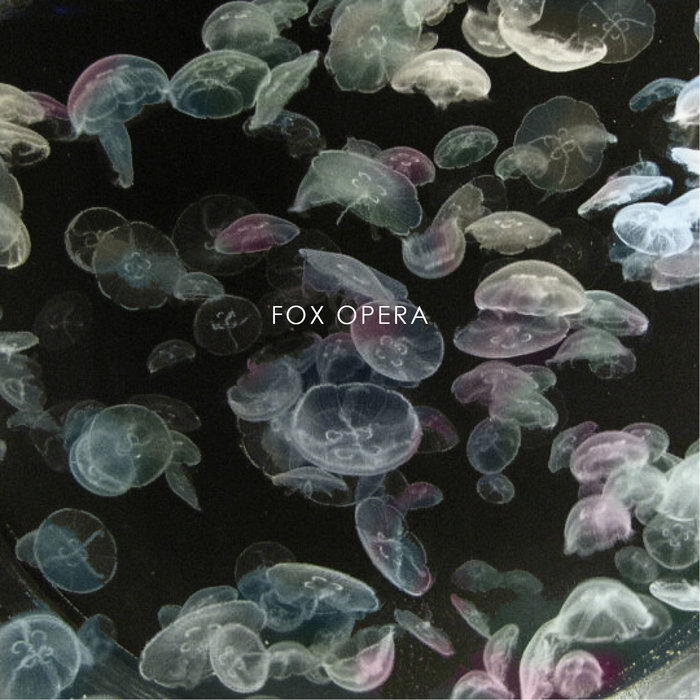 Fox Opera | Fox Opera