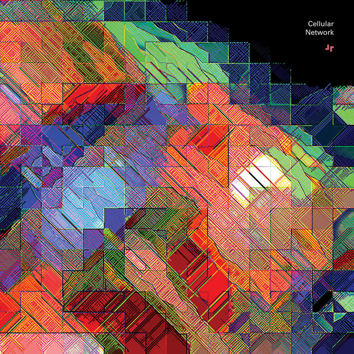 Cellular Network | Jeevan Rai