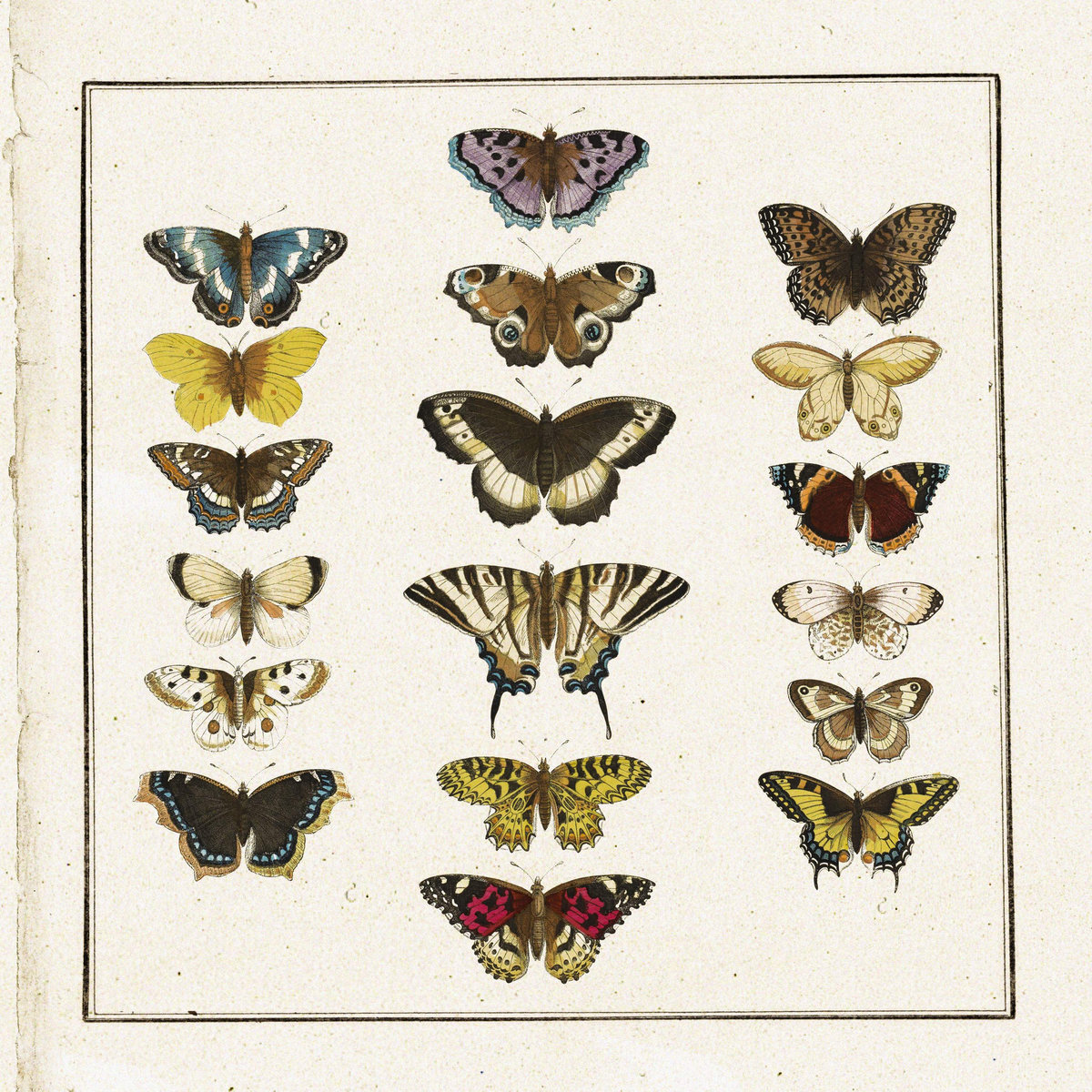 ASSENAV | Severino Siive