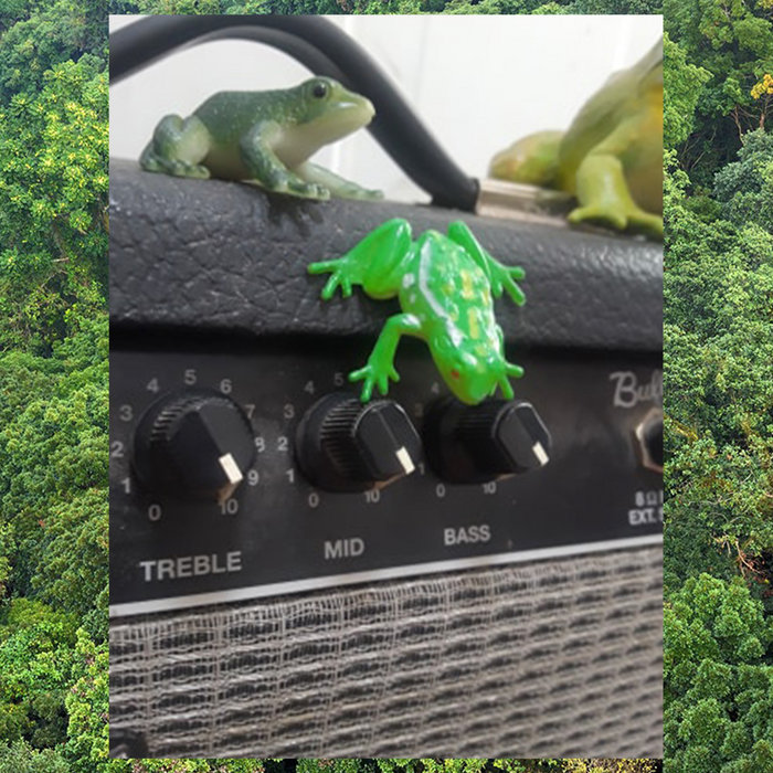 World Frog Day of Noise Vol. 1 | Forest of Frogs